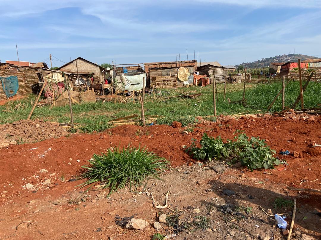 JUST IN! NEMA Restores another Section of Lubigi Wetland at Kigwanya ...